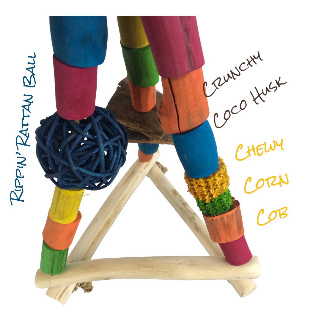 NINOS JAVA MINI TRIANGLE – Fins Fangs Feathers & Fur